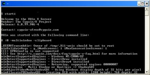 Launch software installers on Linux from Windows using Cygwin