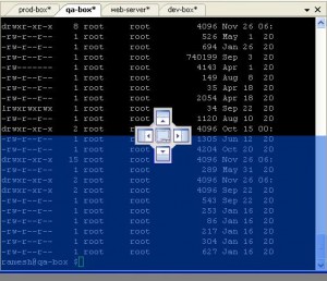 PuTTY: Extreme Makeover Using PuTTY Connection Manager