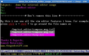 Transfer the Power of Vim Editor to Thunderbird for Composing Email