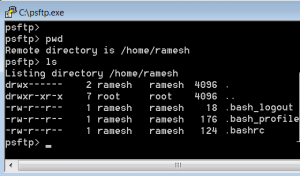 Top 7 Free SFTP or SCP Clients for Windows (Transfer Files to Linux)