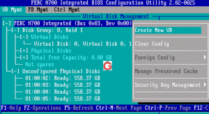 DELL Server: How To Create RAID Using PERC H700 Integrated BIOS Configuration Utility