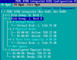 DELL Server: How To Create RAID Using PERC H700 Integrated BIOS ...