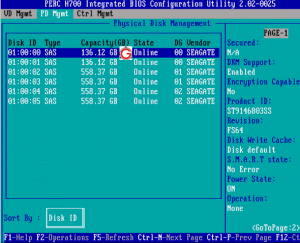 DELL Server: How To Create RAID Using PERC H700 Integrated BIOS ...