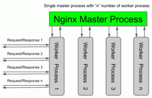 Nginx Vs Apache: Nginx Basic Architecture and Scalability